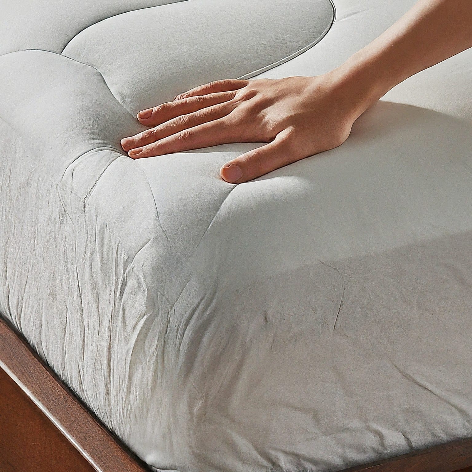 Bed Bug Proof Mattress Encasements | ThermoPest Bed Bug Treatment