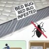 How To Dispose Of Bed Bug-Infested Items | ThermoPest Pest Control
