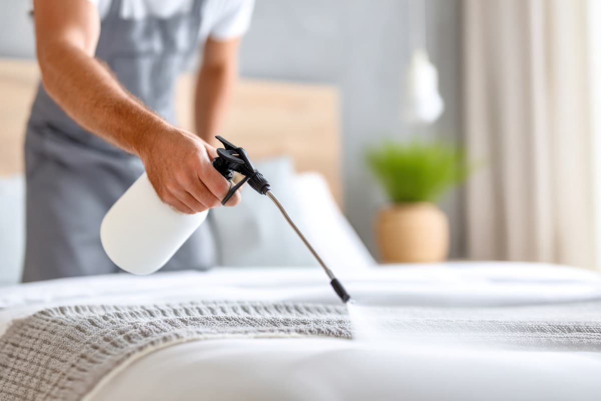 10 Ways Professional Exterminators Eliminate Bed Bugs Fast